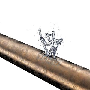 SeaHawk Archives - RLE Technologies